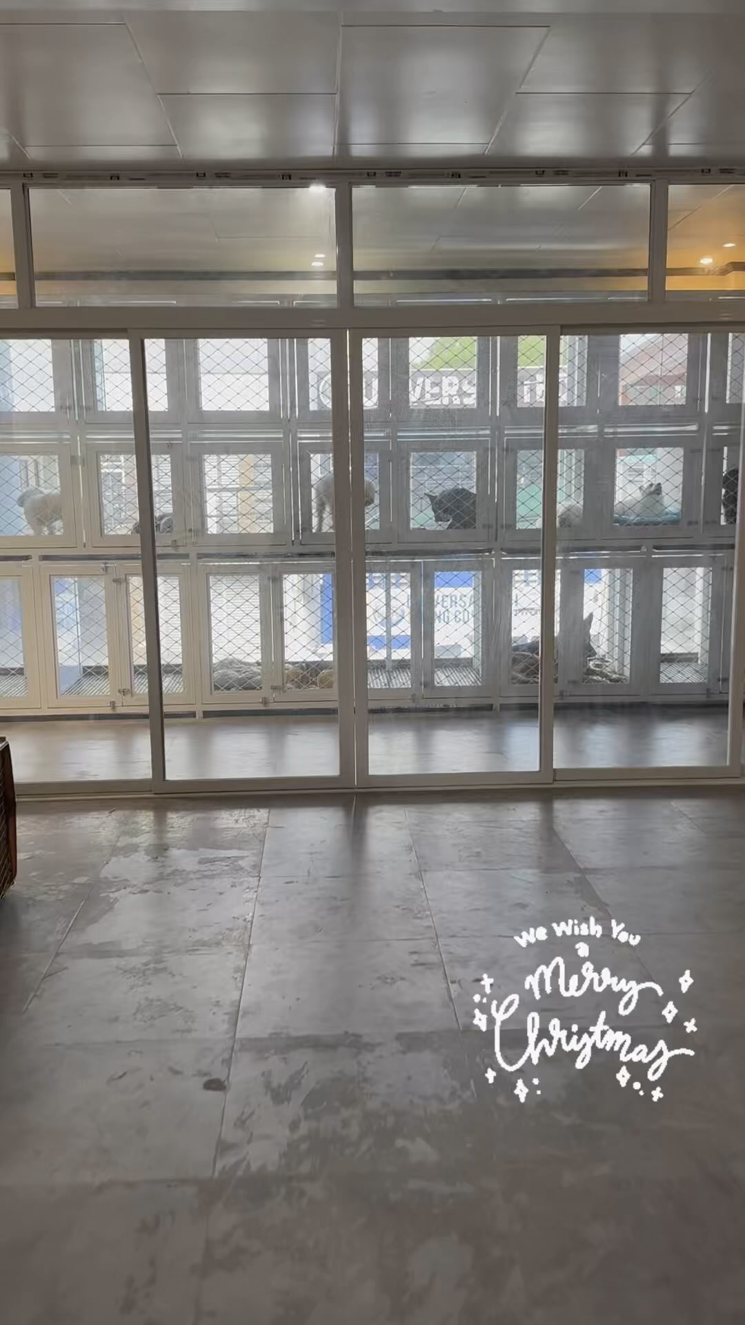 The Paw Station Mckinley - Discover BGC